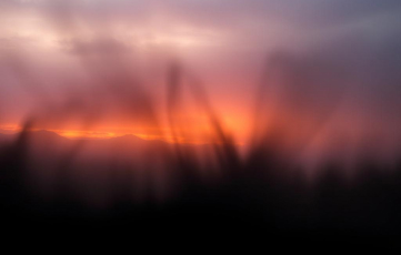 Carbon Footprint Calculator – Track & Offset - Coffset