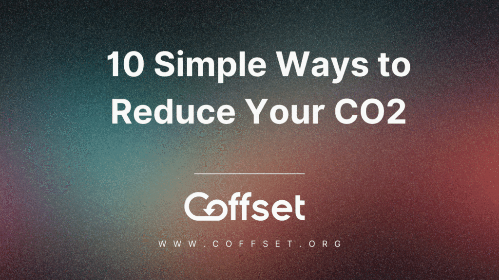 Die 10 besten Möglichkeiten, Ihren CO2-Fußabdruck heute zu reduzieren ...
