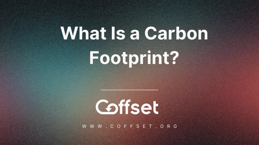 What Is a Carbon Footprint? Definition and Best Way to Reduce It - Coffset