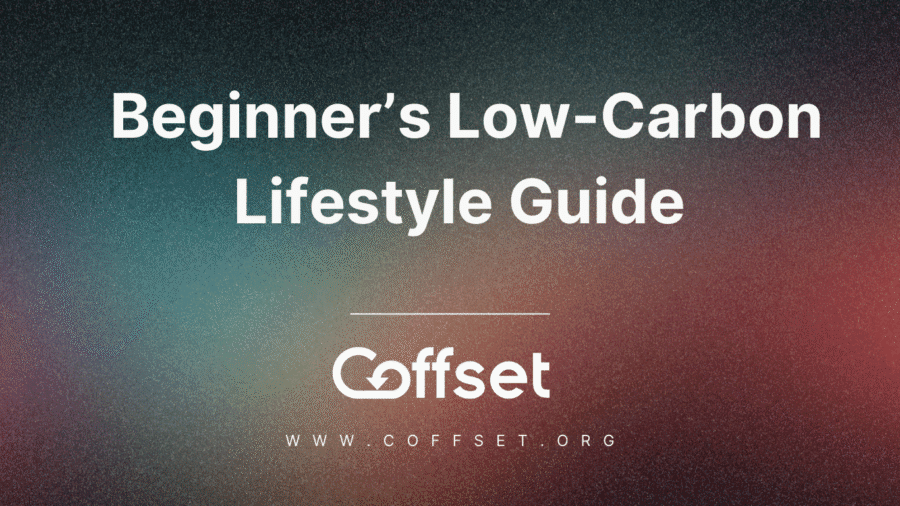Beginner’s Low-Carbon Lifestyle Guide for Sustainable Living - Coffset